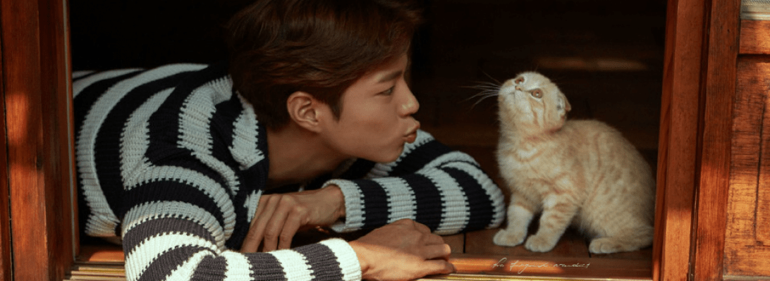 Review: Silent [Japan] - The Fangirl Verdict