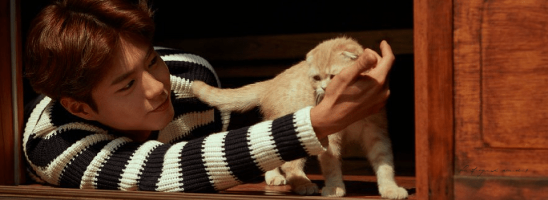 Review: Answer Me, 1988 [Reply 1988] - The Fangirl Verdict